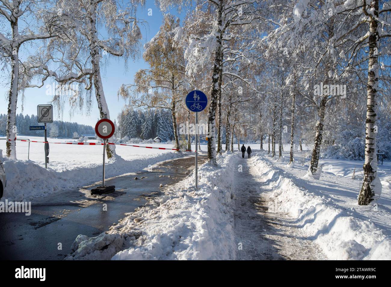 Zug durch den wald hi-res stock photography and images - Alamy