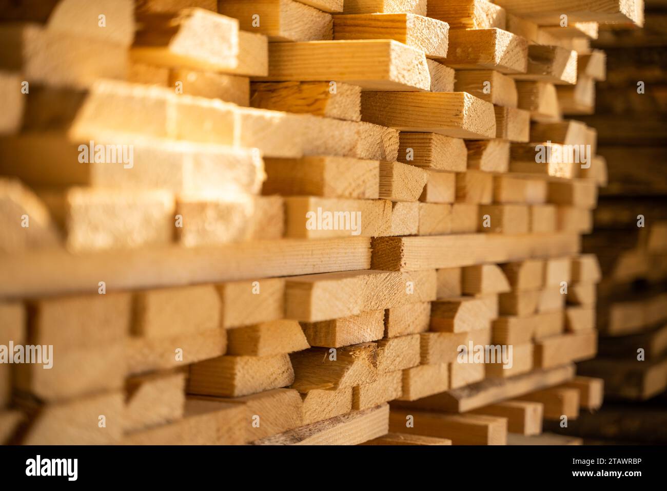 Wooden planks and beams at a indoor lumber warehouse. Stacks with pine ...