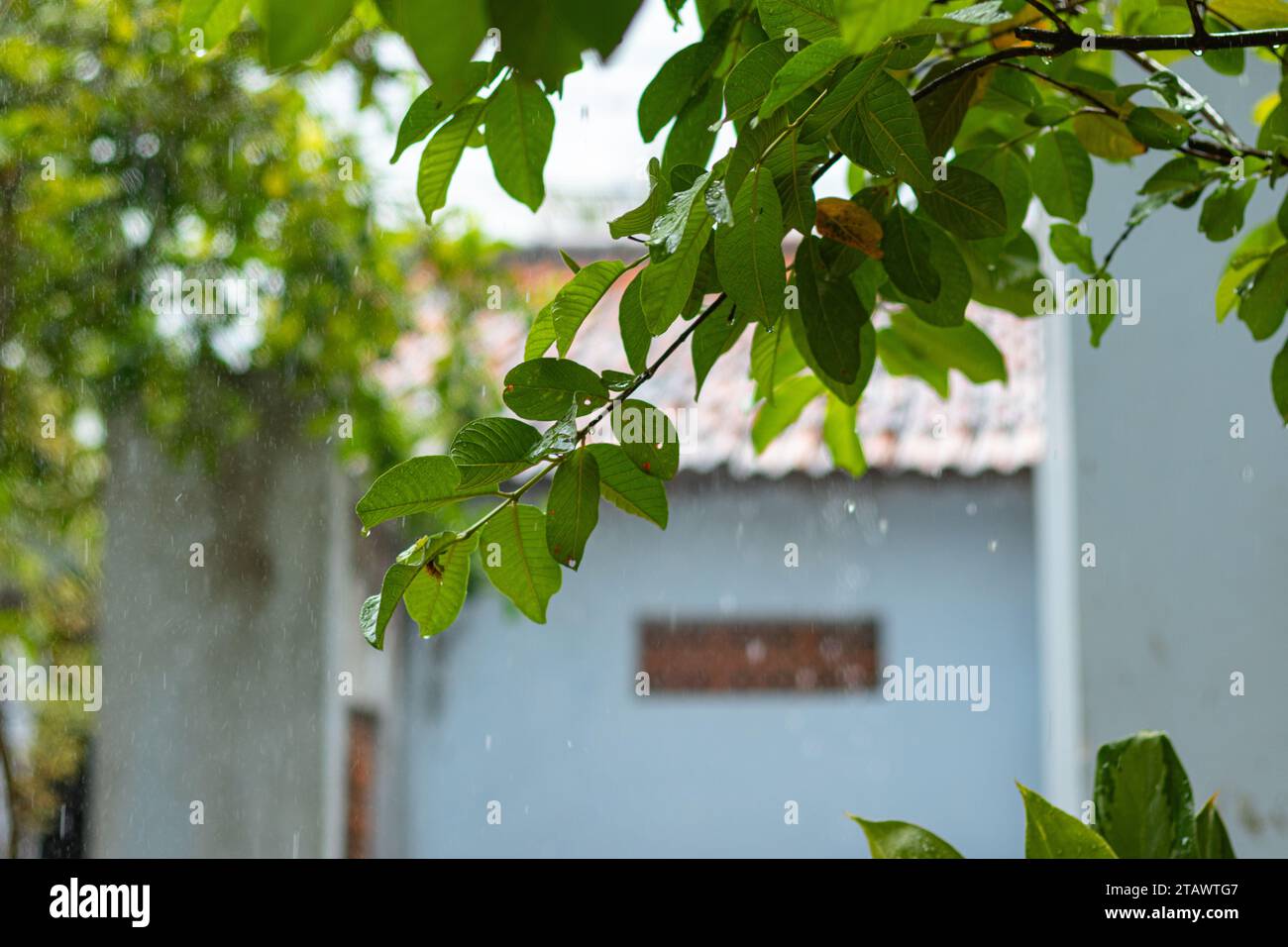 Rainy season forecast hi-res stock photography and images - Alamy