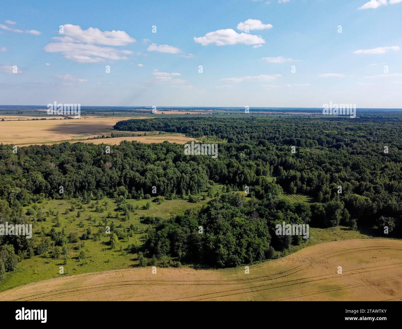 Green deciduous forest next to a farm field. Landscape from a bird's ...