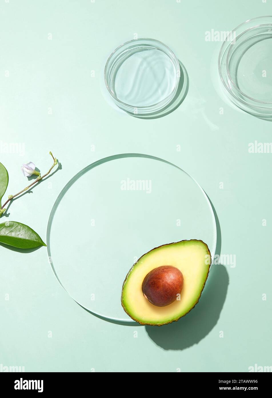 Product backdrop designs, Product showcase backdrop, Product ...