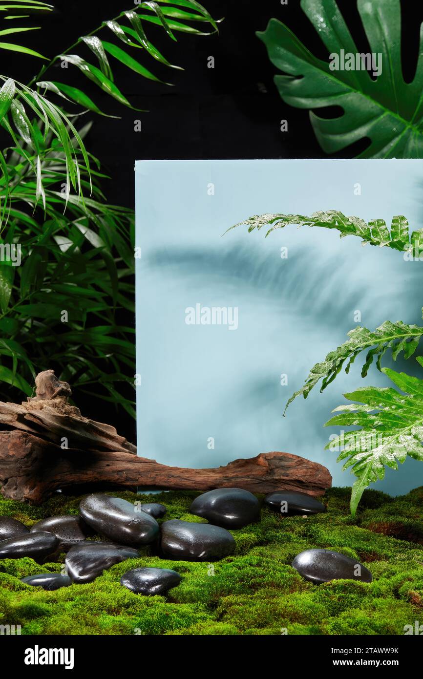 Product backdrop designs, Product showcase backdrop, Product ...