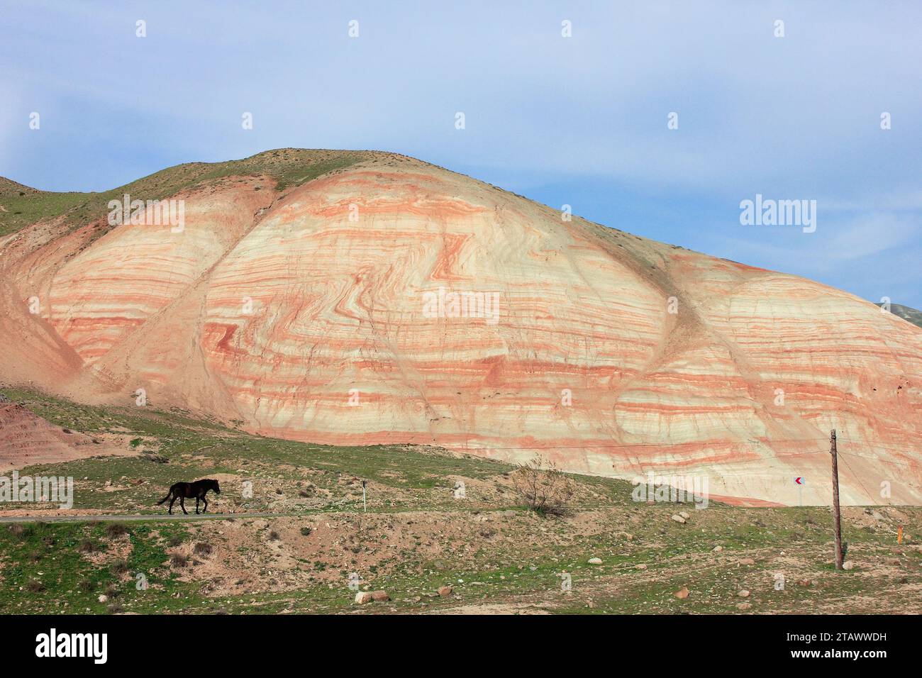 Black horse in beautiful red mountains. Khyzy region. Azerbaijan Stock ...