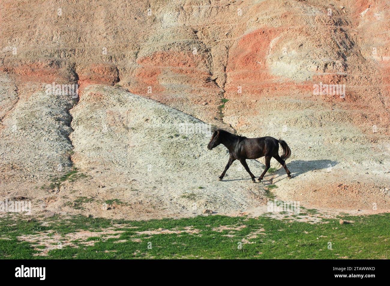 Black horse in beautiful red mountains. Khyzy region. Azerbaijan Stock ...