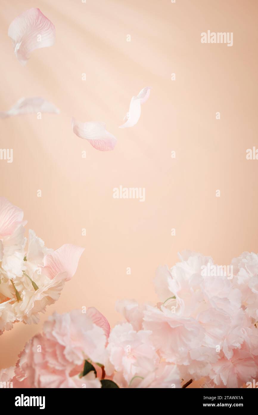 Product backdrop designs, Product showcase backdrop, Product ...