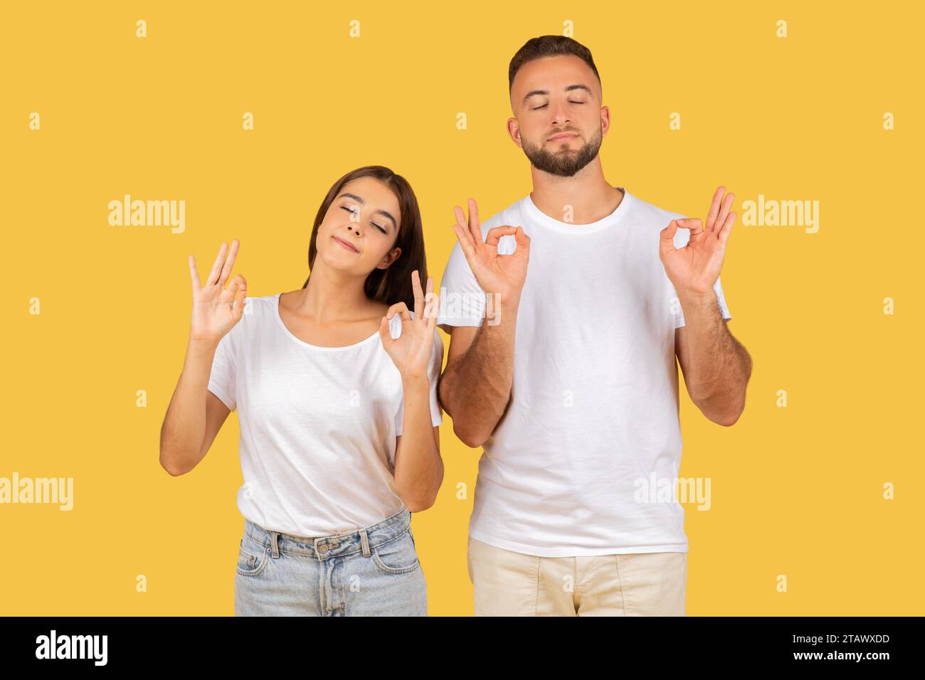 Cheerful millennial european lady and guy, show ok gesture with hands ...
