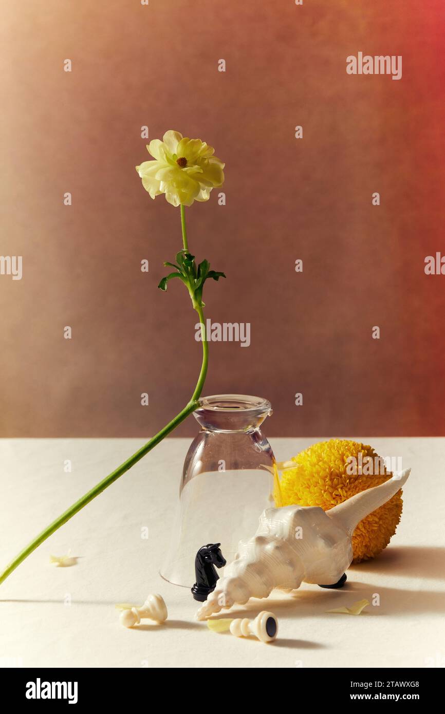 Professional product display backgrounds, Clean product photography ...