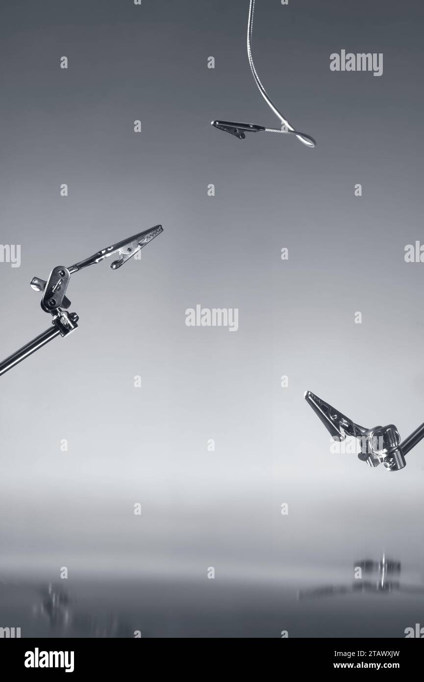 Professional product display backgrounds, Clean product photography ...