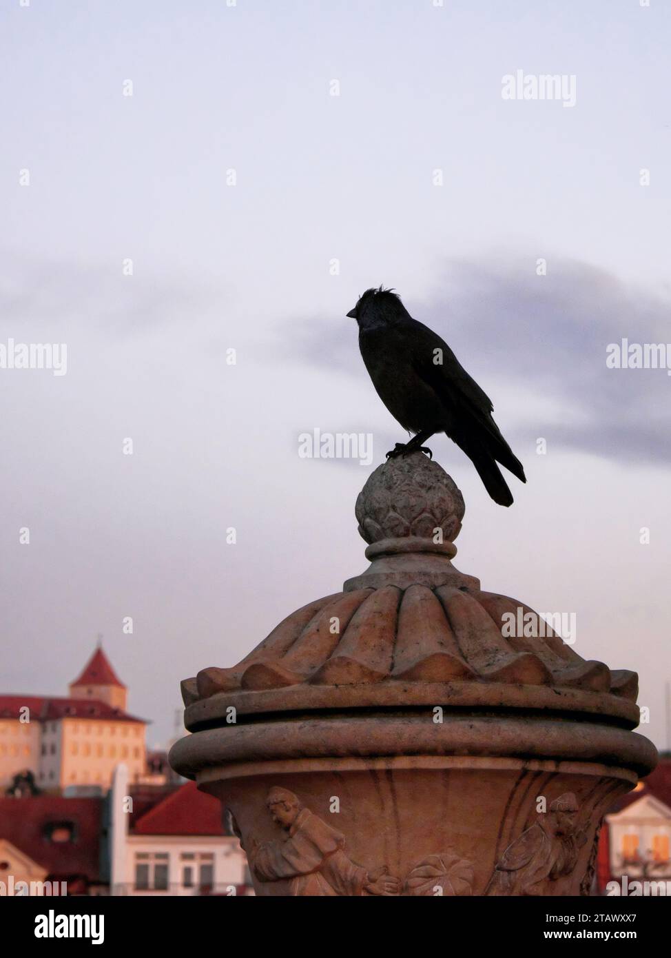 The crow stone hi-res stock photography and images - Alamy