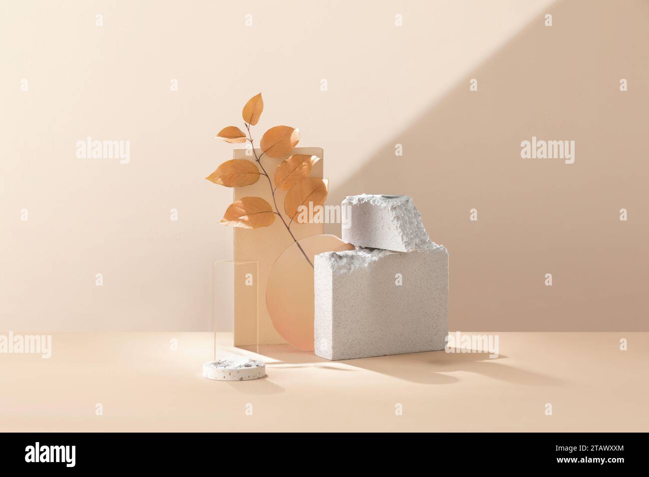 Professional product display backgrounds, Clean product photography ...