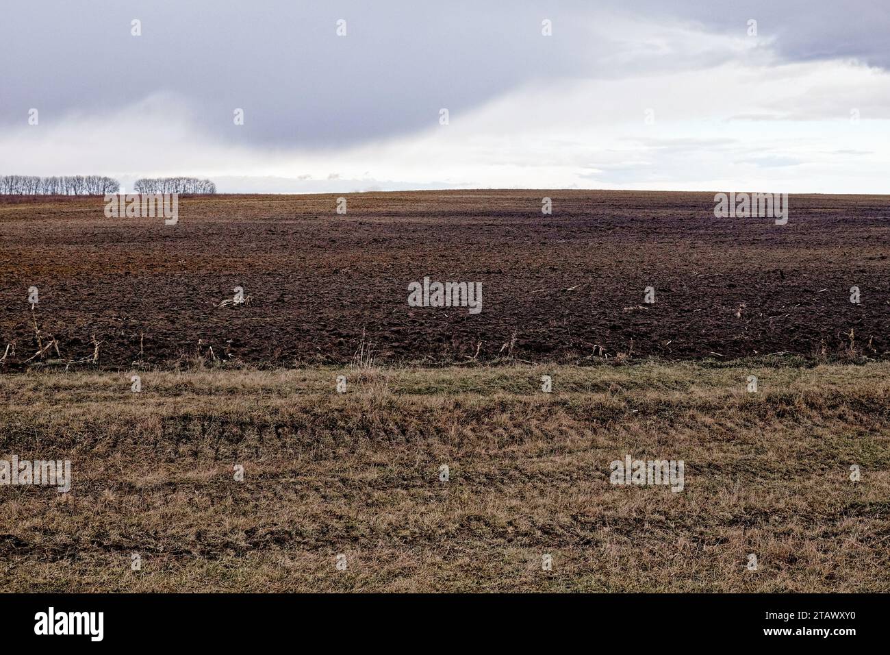 The image shows a vast, barren field with a line of trees in the ...