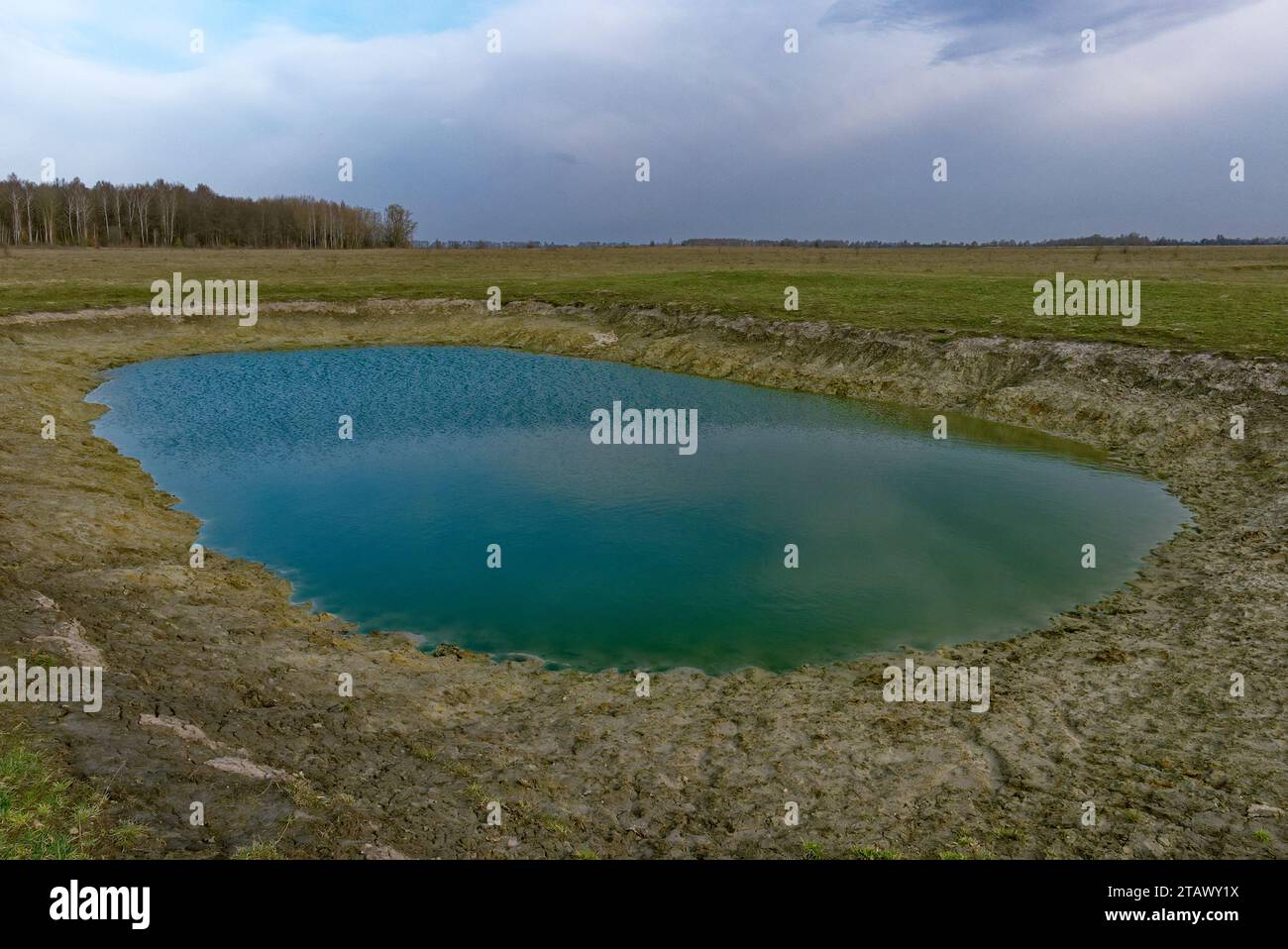 A landscape photo captures a small pond in a grassy field, with trees ...