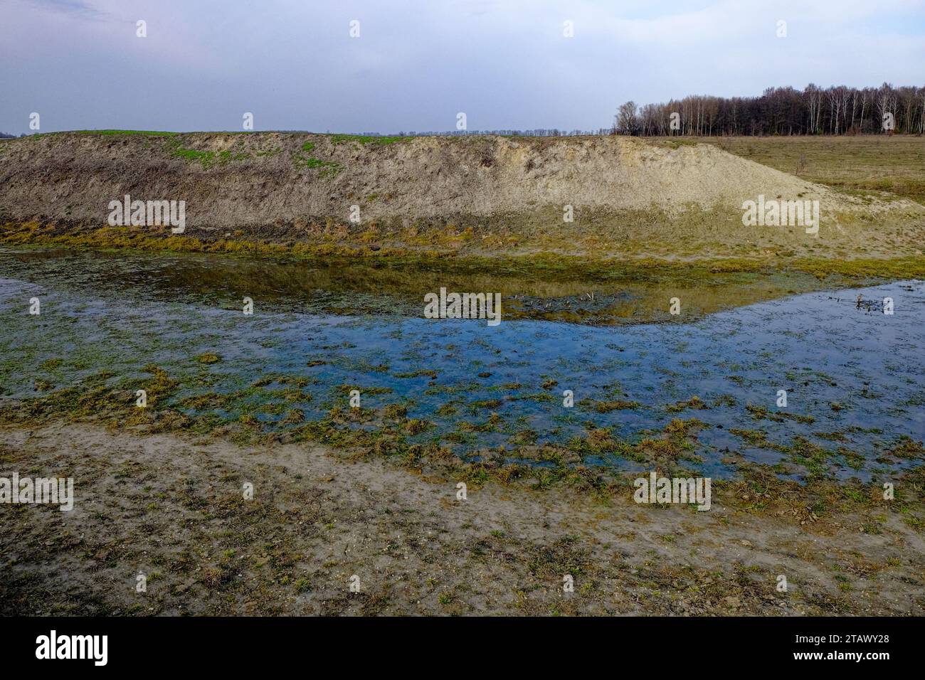A landscape photo captures a shallow body of water with green algae ...