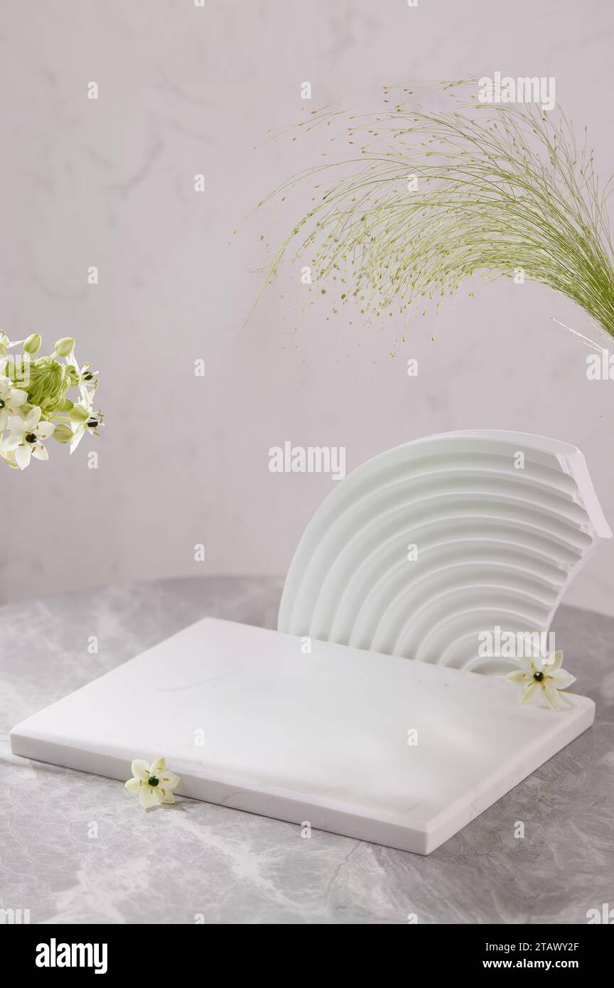 Professional product display backgrounds, Clean product photography ...