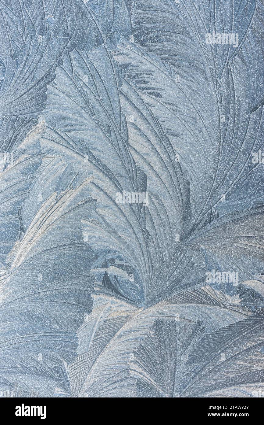 Ice Flowers on a Window Stock Photo - Alamy