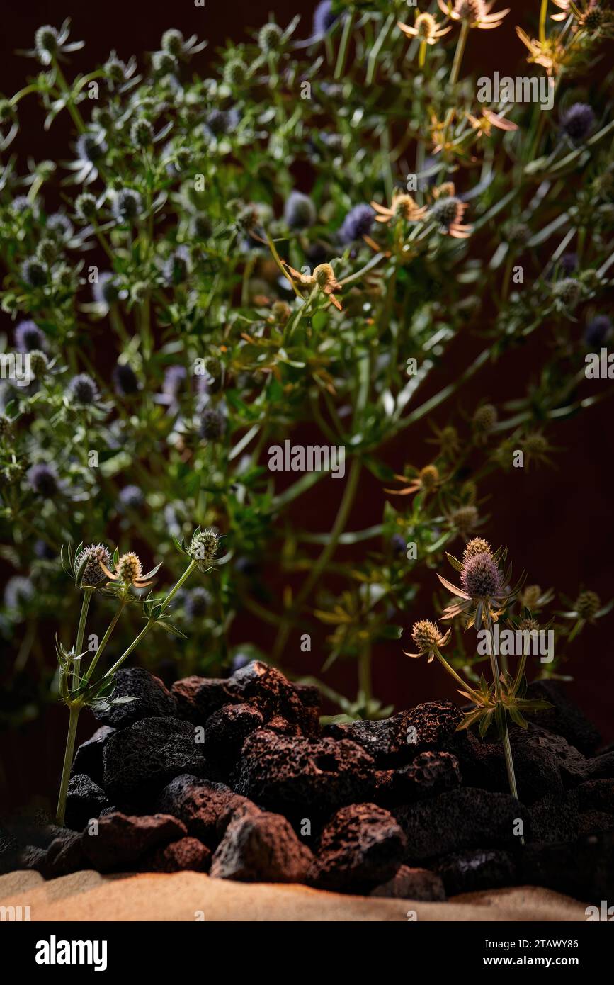 Professional product display backgrounds, Clean product photography ...