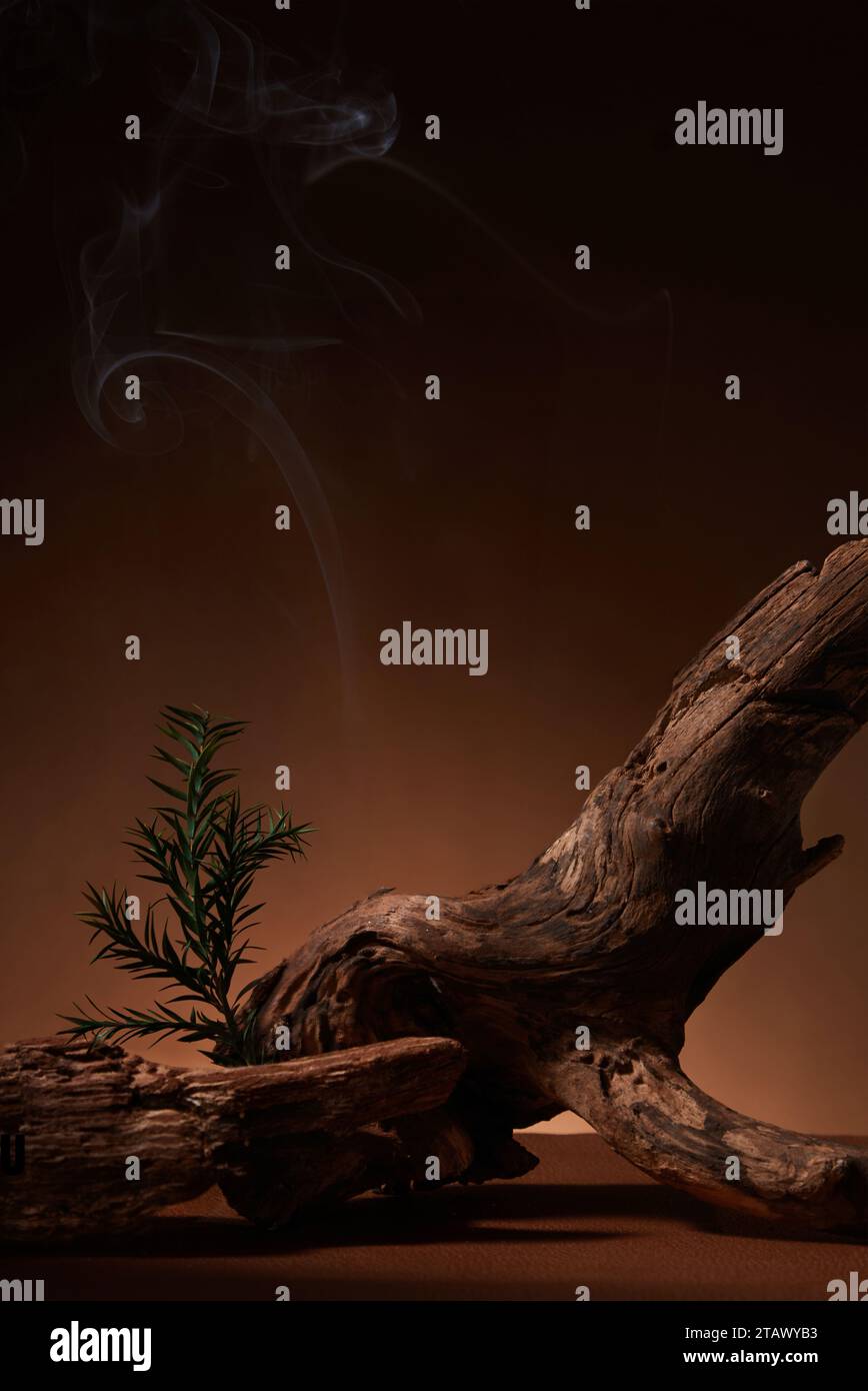 Professional product display backgrounds, Clean product photography ...