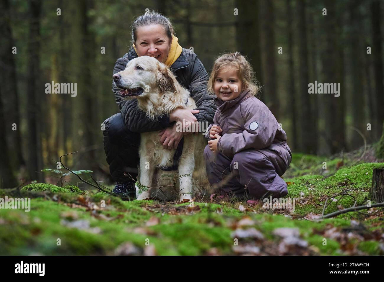 A family with a dog walks in the forest in Denmark Stock Photo - Alamy