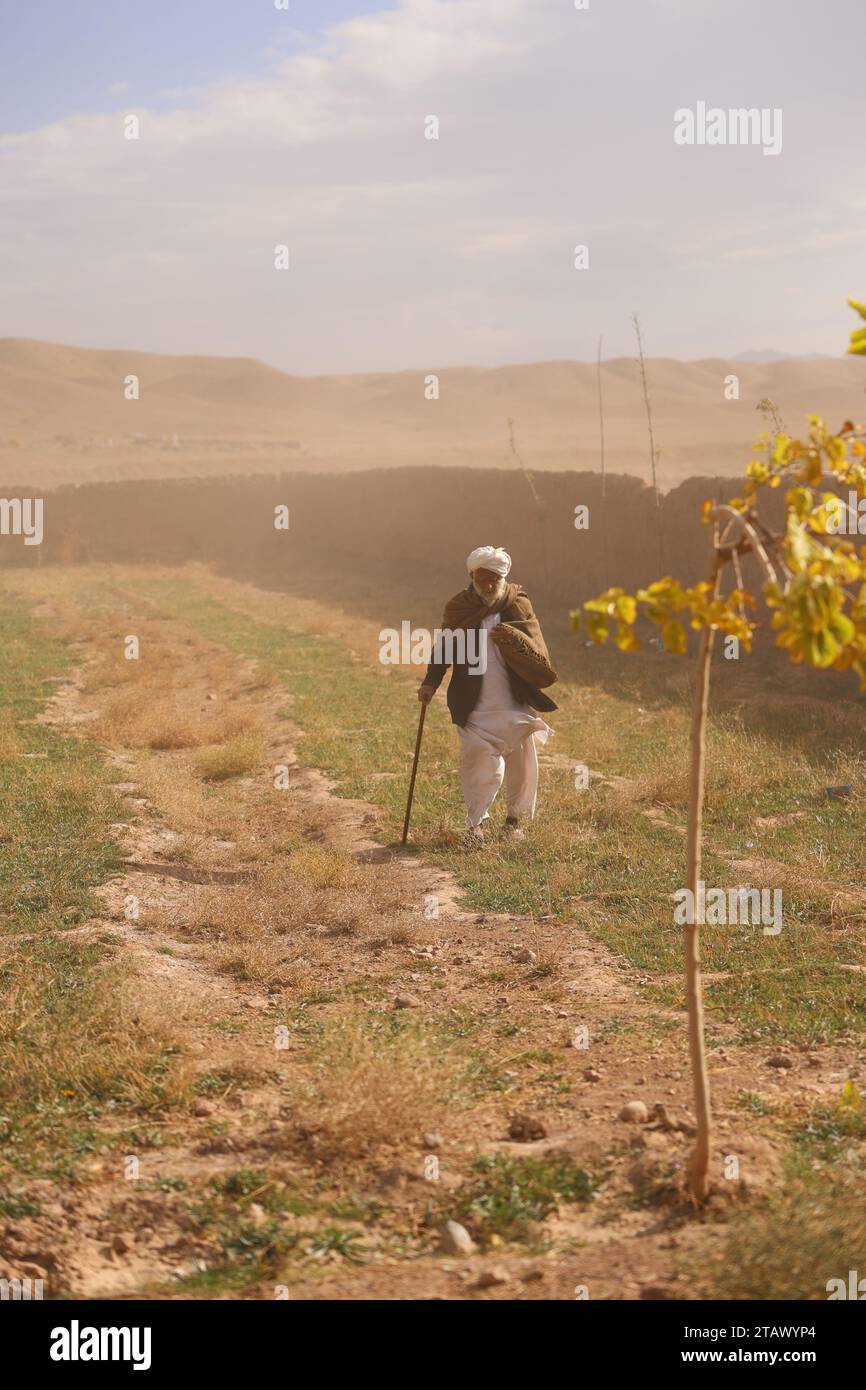 Marginalized population hi-res stock photography and images - Alamy