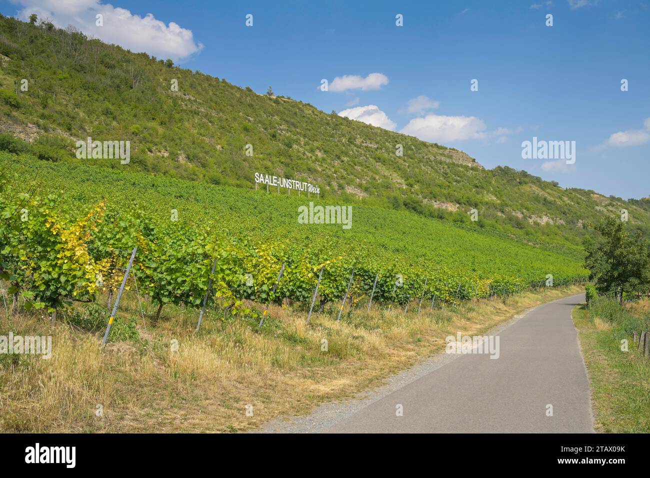 Saalewein hi-res stock photography and images - Alamy