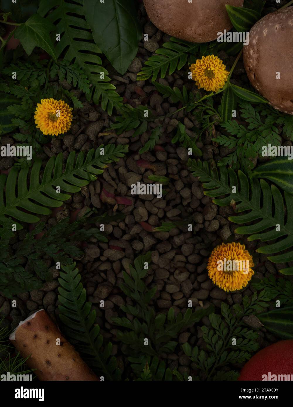 High-quality product showcase backgrounds, Clean product presentation ...