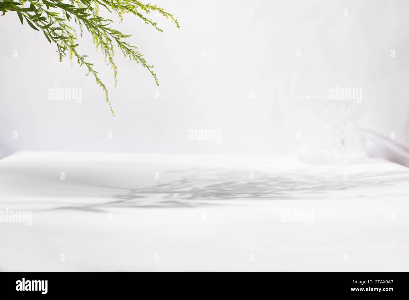 High-quality product showcase backgrounds, Clean product presentation ...