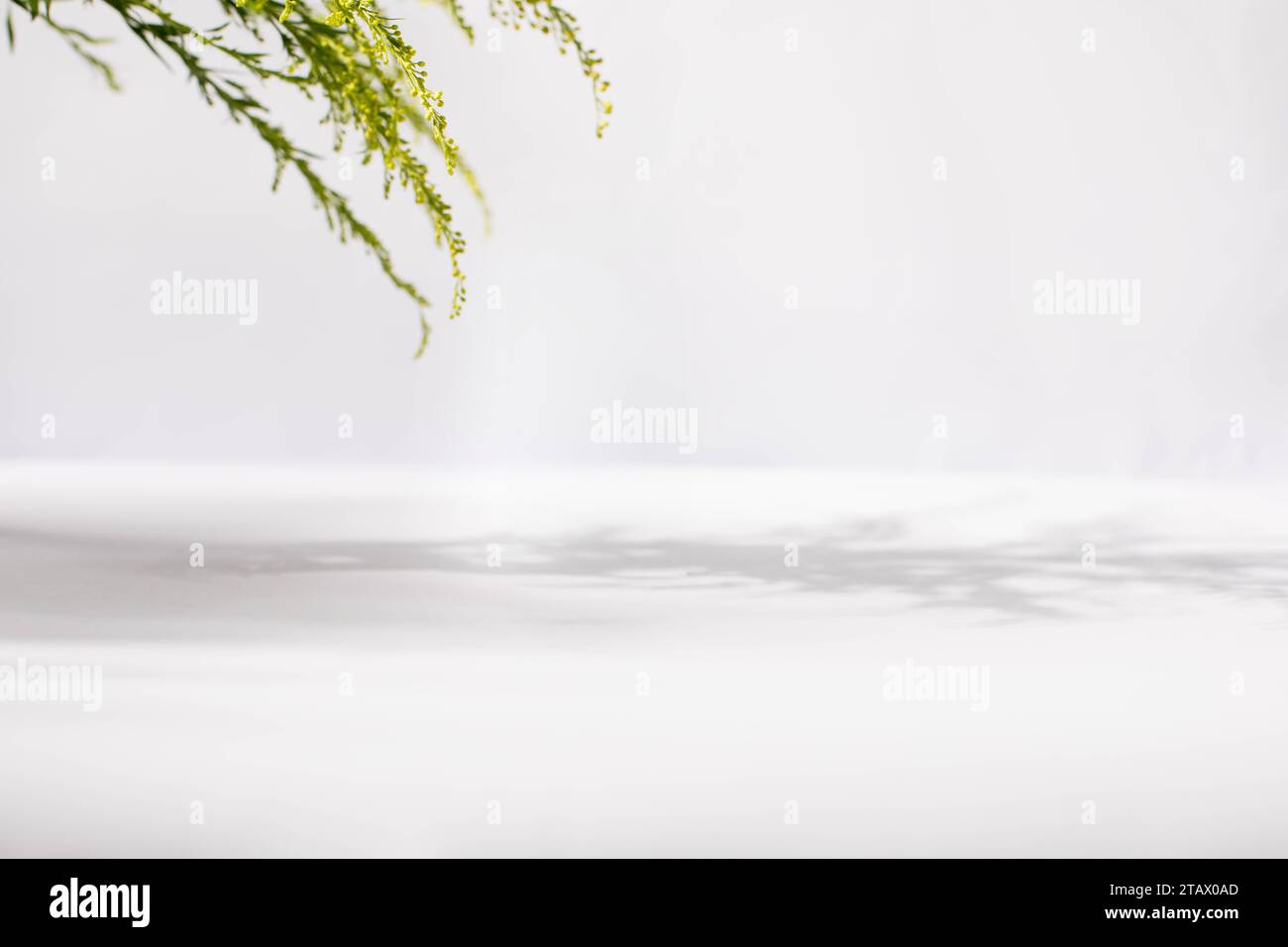 High-quality product showcase backgrounds, Clean product presentation ...