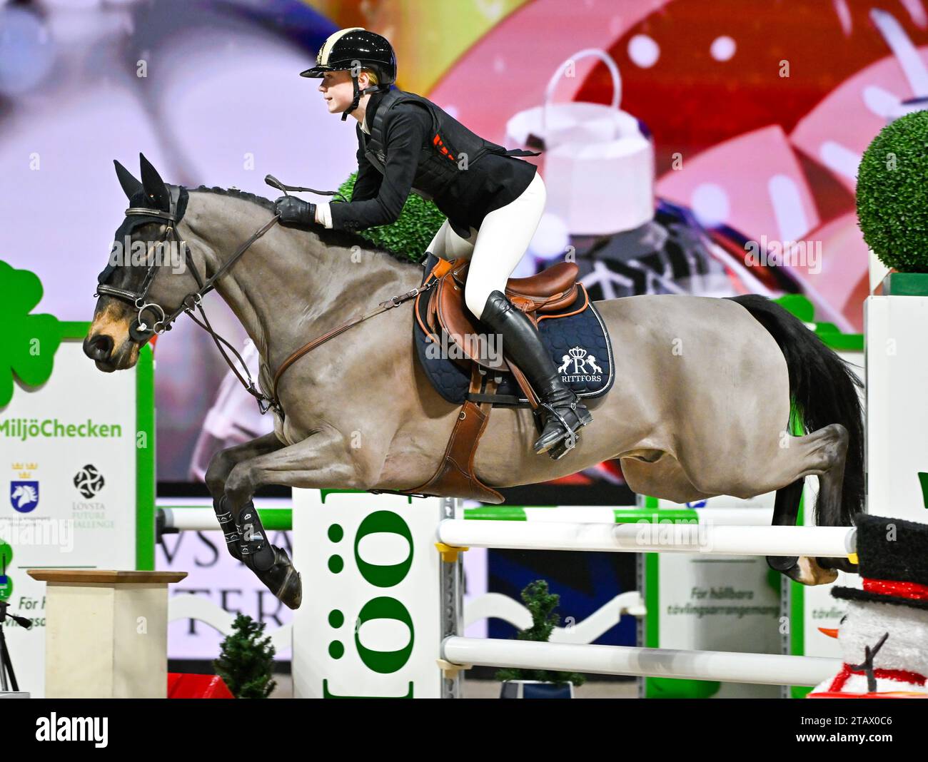 STOCKHOLM 20231203 Selma Gustafsson Thelin with the horse Barravalley ...