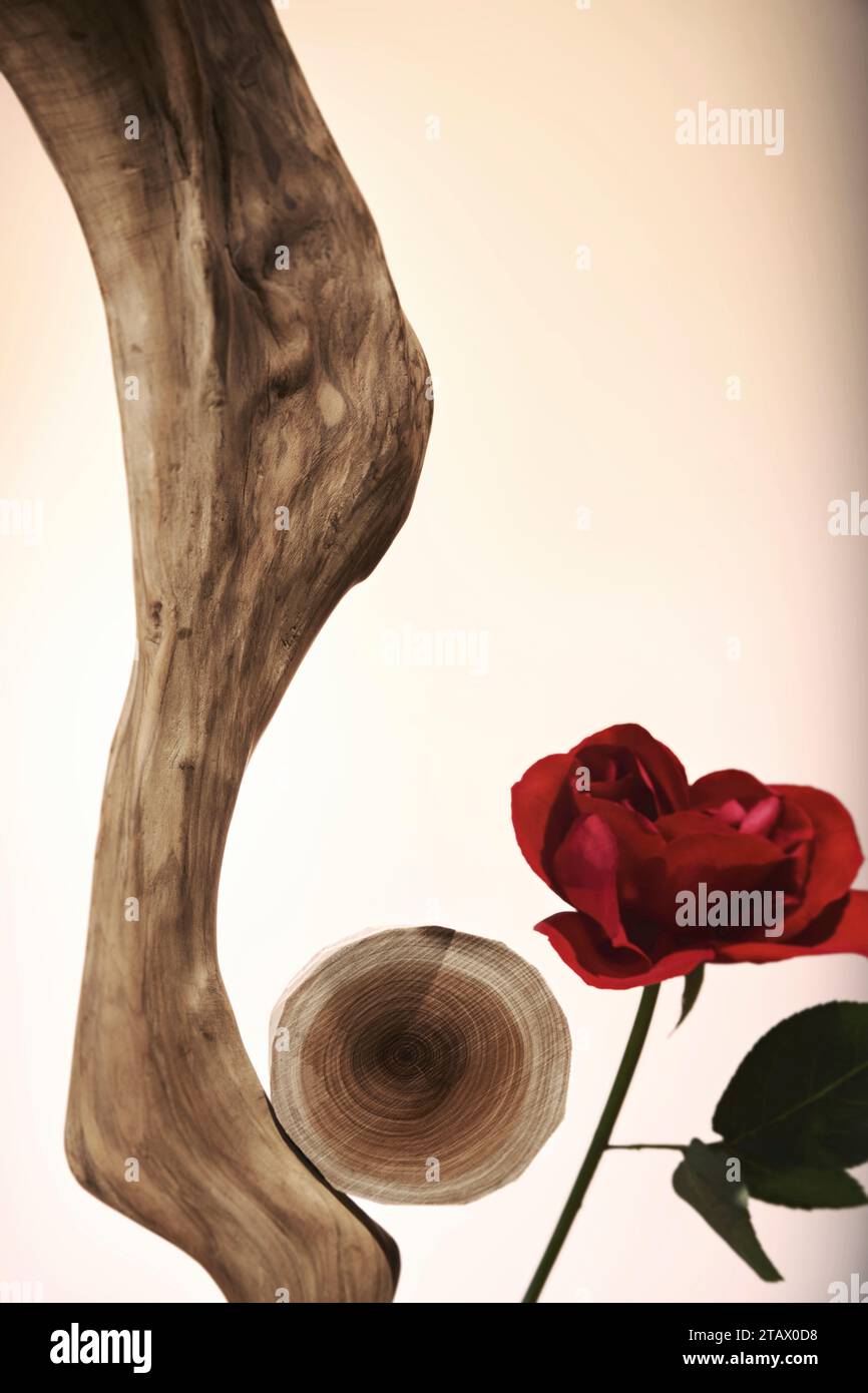 Clean product presentation backdrops hi-res stock photography and ...