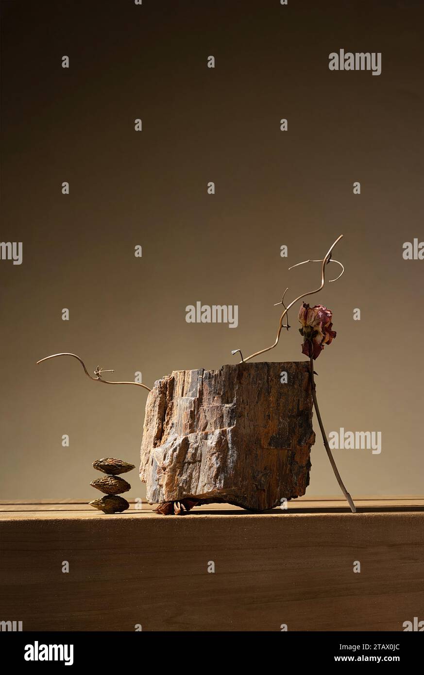 High-quality product showcase backgrounds, Clean product presentation ...