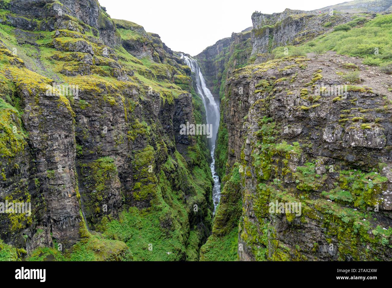 Glymur waterfall in Iceland, in a large mossy canyon Stock Photo - Alamy