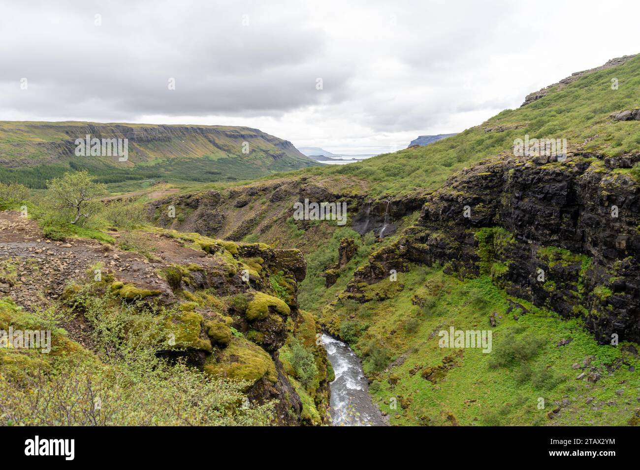 Canyon at Glymur Waterfall, as seen from the hiking trail. Iceland ...