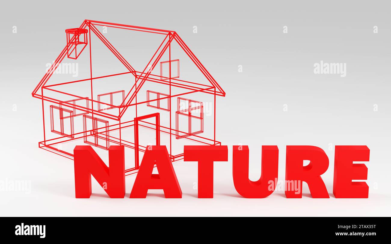 Nature Blueprint A Conceptual 3D Illustration of a Red Wireframe House ...