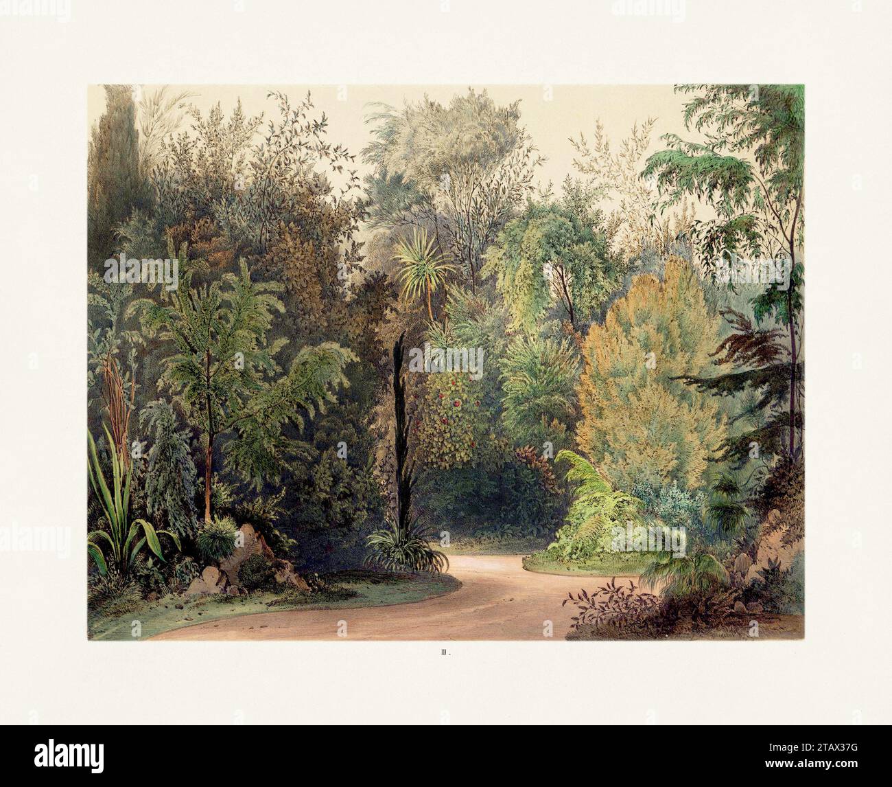 Antique 18th Century Illustration Winter Gardens At Viennas Imperial