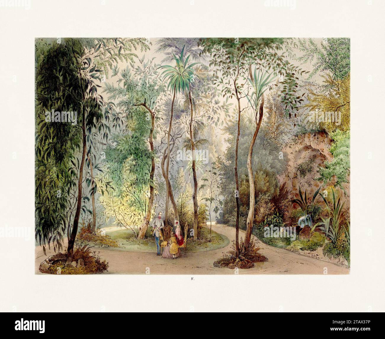 Antique 18th Century Illustration Winter Gardens At Viennas Imperial