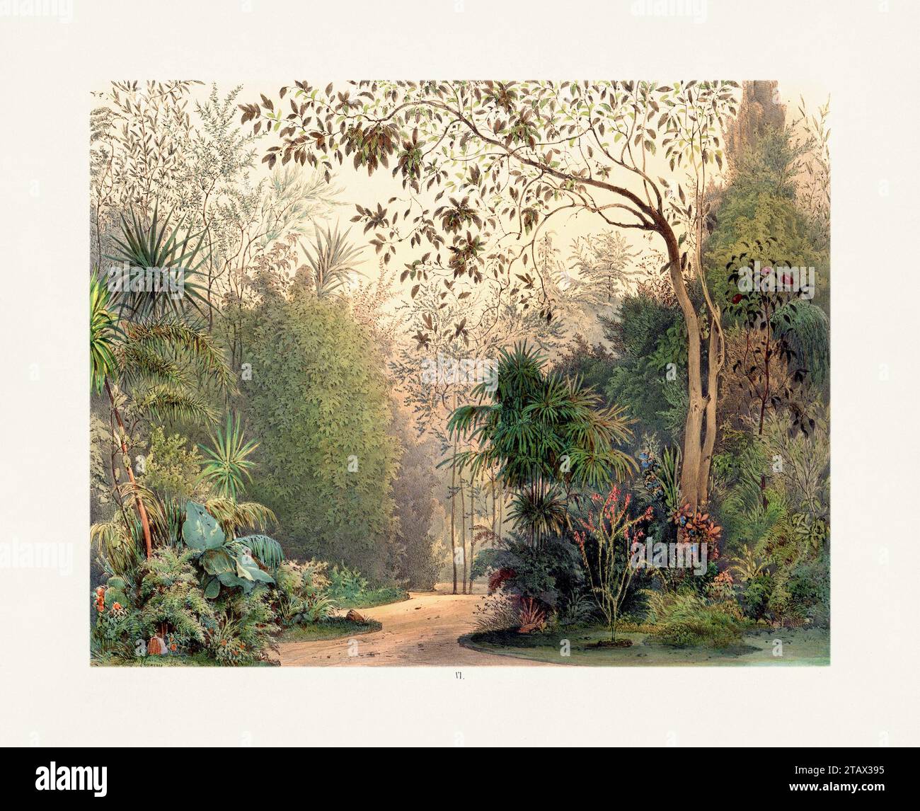 Antique 18th Century Illustration Winter Gardens At Viennas Imperial