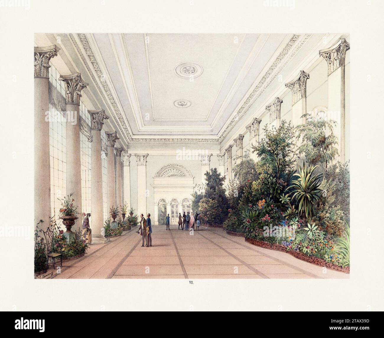 Antique 18th Century Illustration Winter Gardens At Viennas Imperial