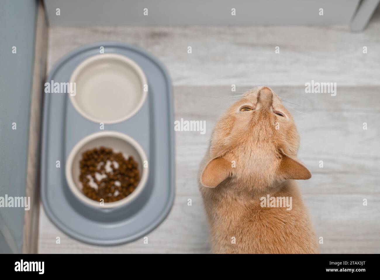 Given food hi-res stock photography and images - Alamy