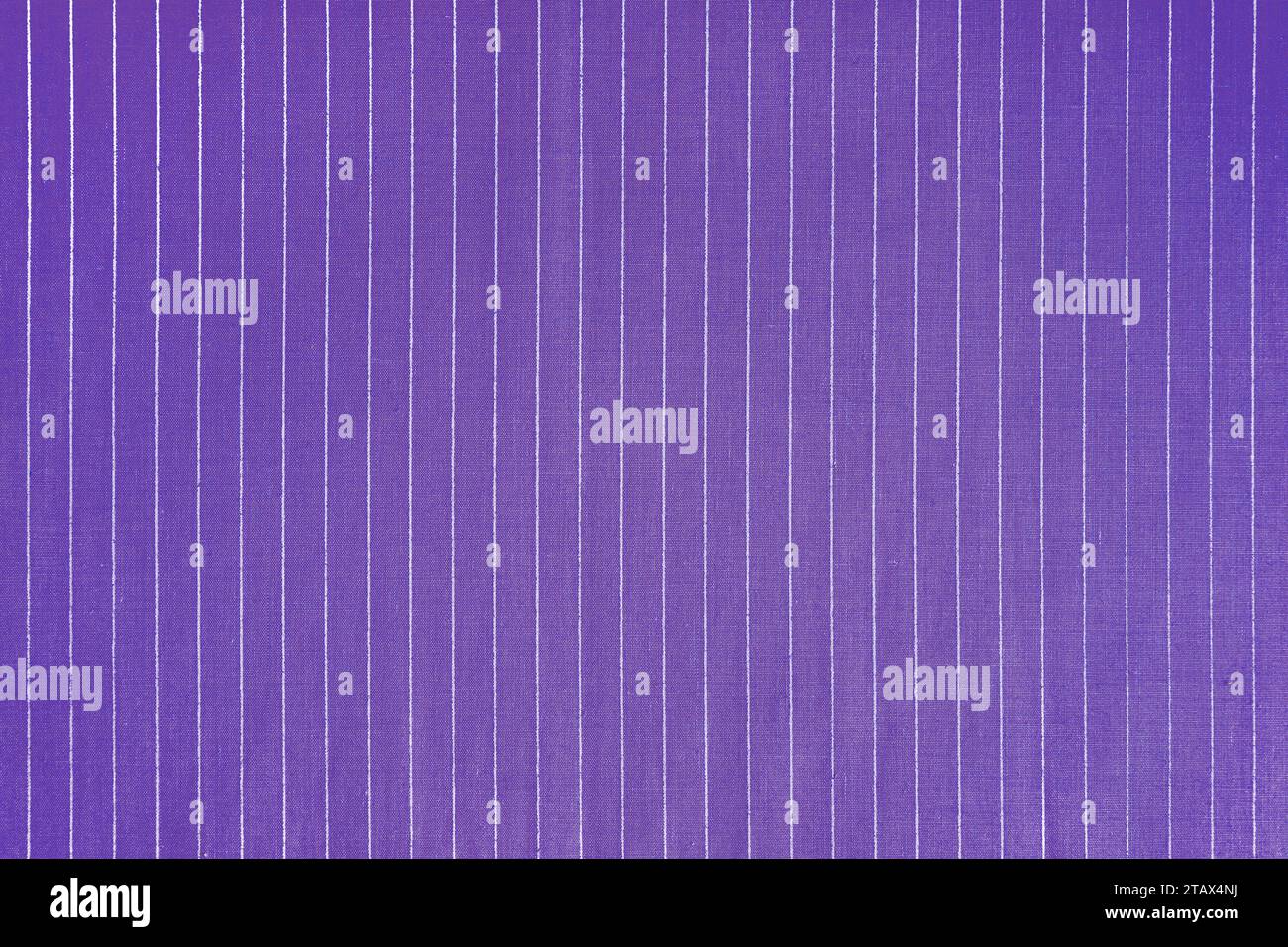 Striped purple white fabric texture background wtih copy space. Shirt ...