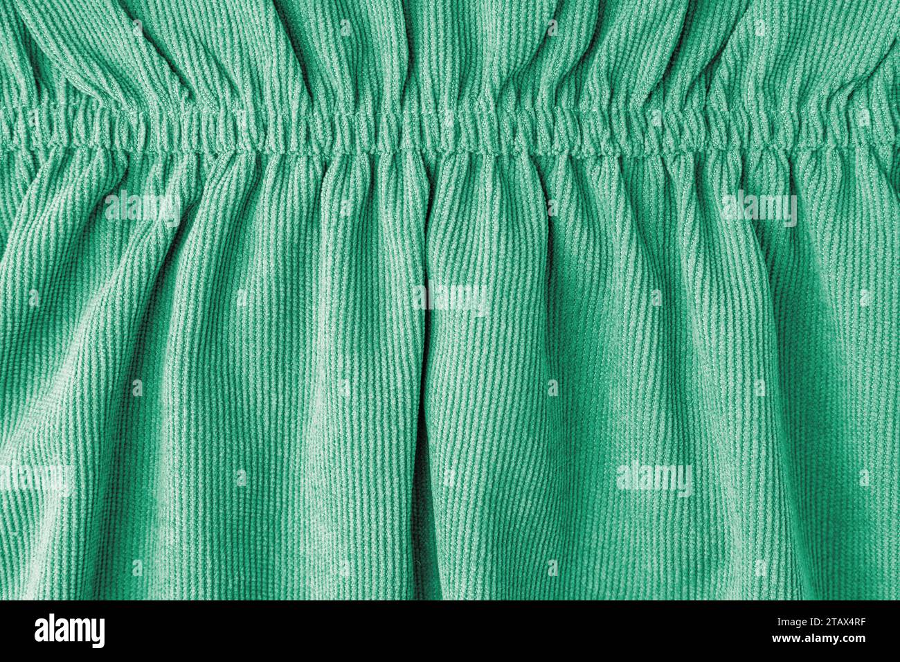 Green corduroy fabric gathered with elastic close-up. Velveteen texture ...