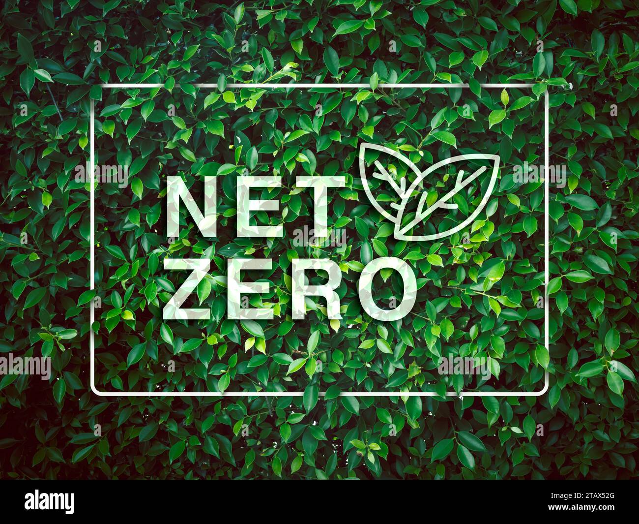 Net zero icon overlay on green leaves bush background with modern white ...