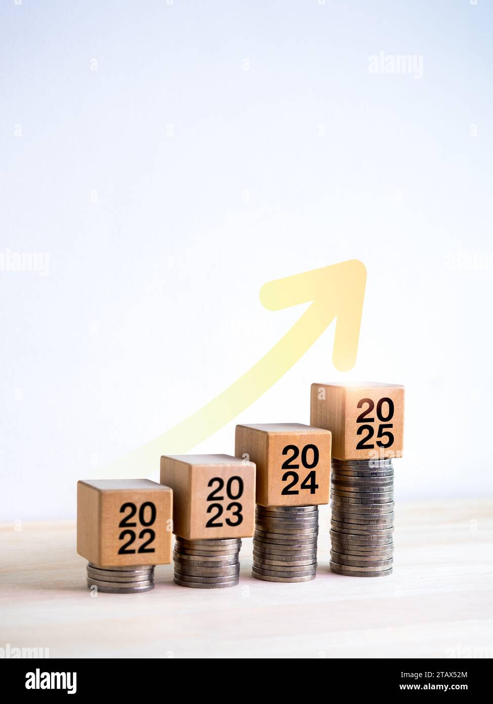 Income report from 2022 to 2025 year, business growth and success ...