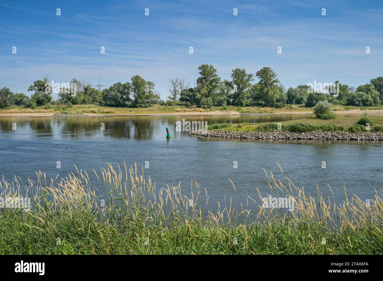 Mündung der Saale in die Elbe nahe Barby, Sachsen-Anhalt, Deutschland ...