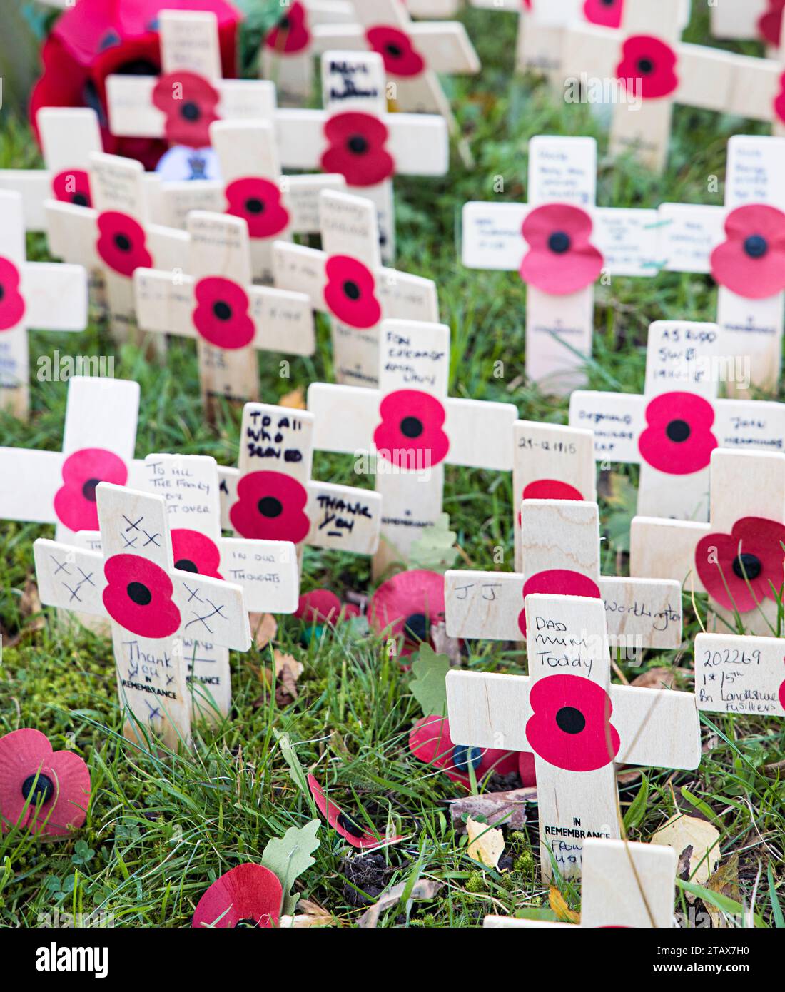 Poppies world war hi-res stock photography and images - Alamy