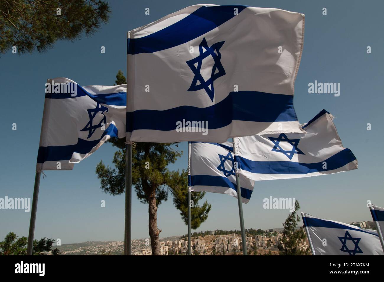 Multiple blue and white Israeli flags on display during the annual ...
