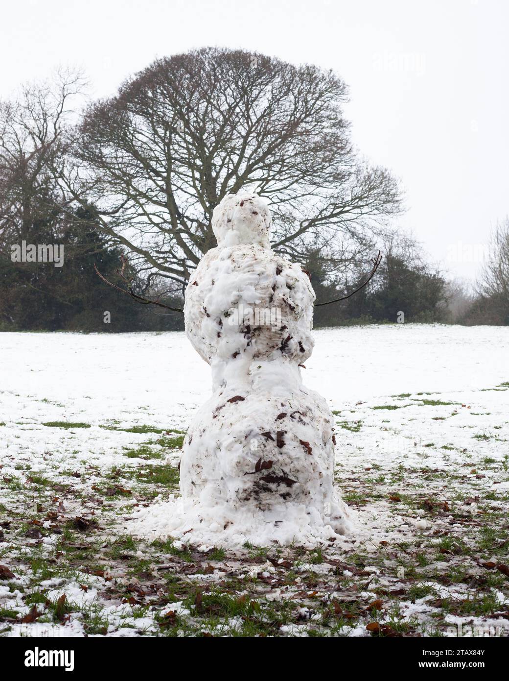 Snowman in festive scene white over morning, first proper snow fall ...