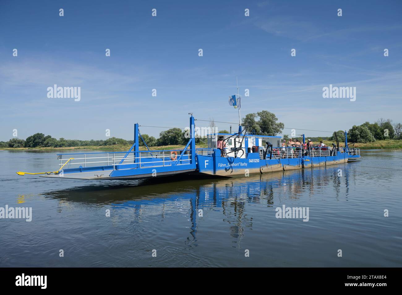 Fähre Saalhorn, Elbe bei Barby, Sachsen-Anhalt, Deutschland ...