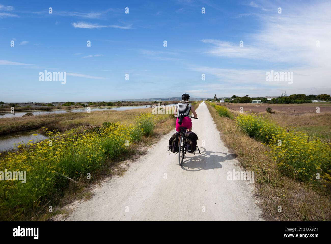 Female cyclist cycling the Napier to Cape Kidnappers cycle trail, North ...