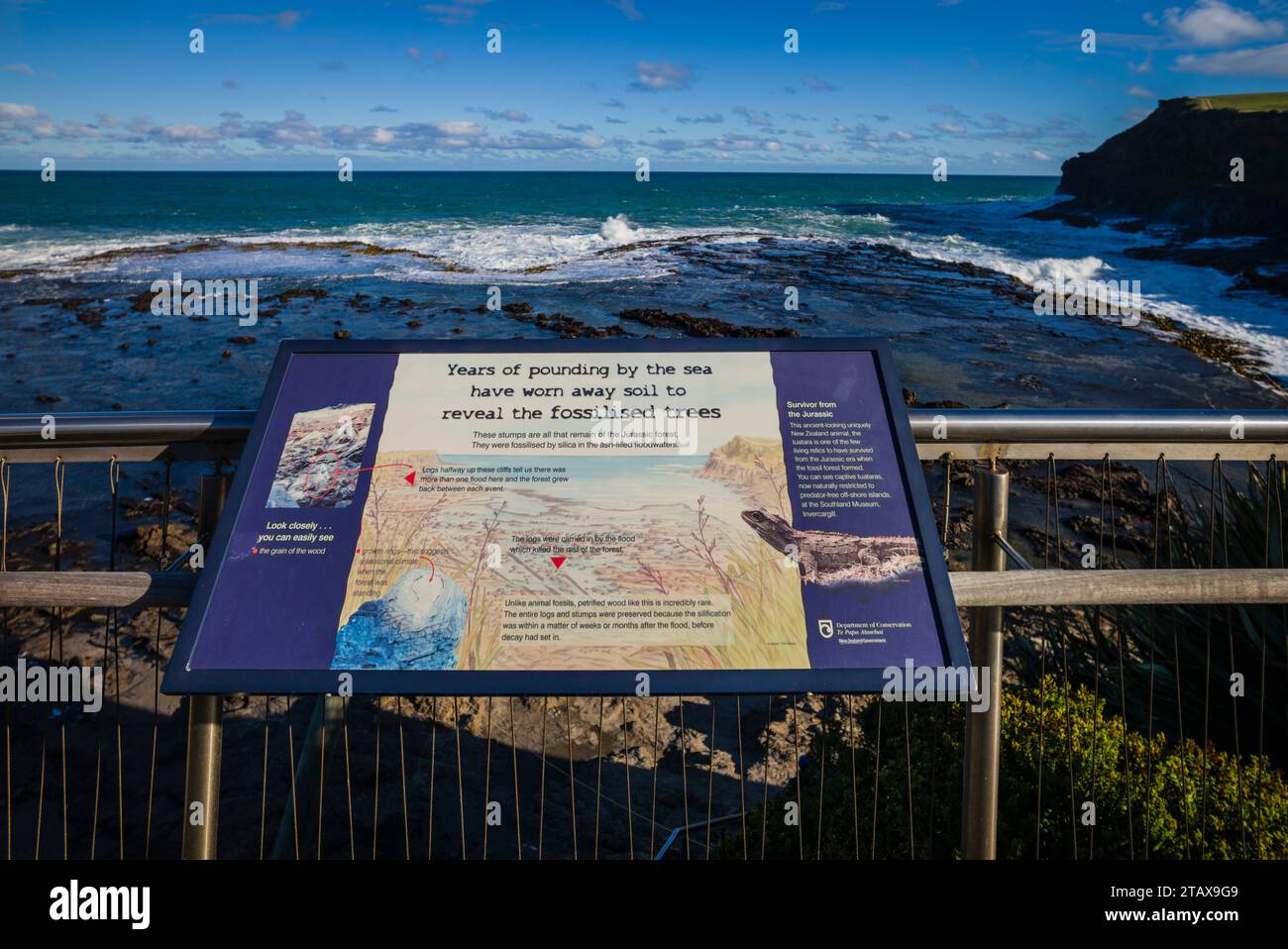 Information sign about fossils that have been uncovered by the sea ...