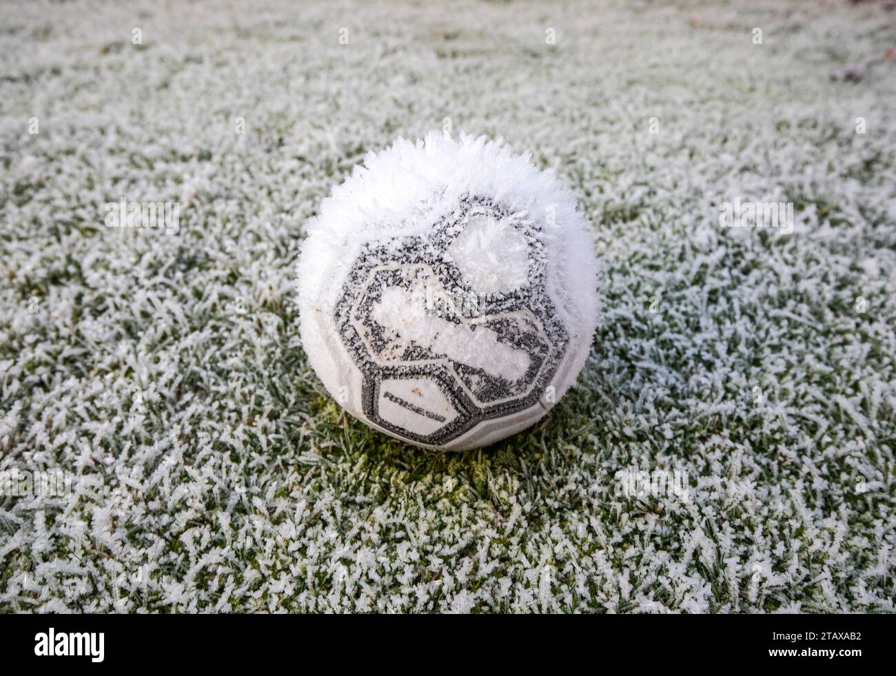 Frozen football on a frozen pitch covered in ice and frost in winter ...